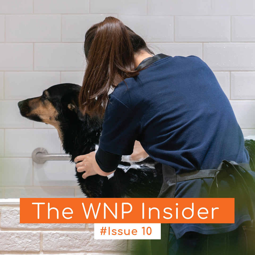 The WNP Insider - Issue #10