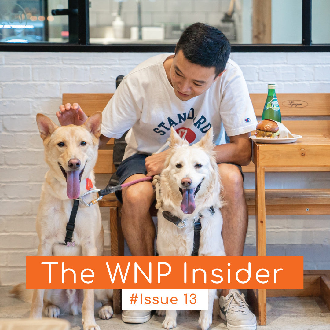 The WNP Insider - Issue #13