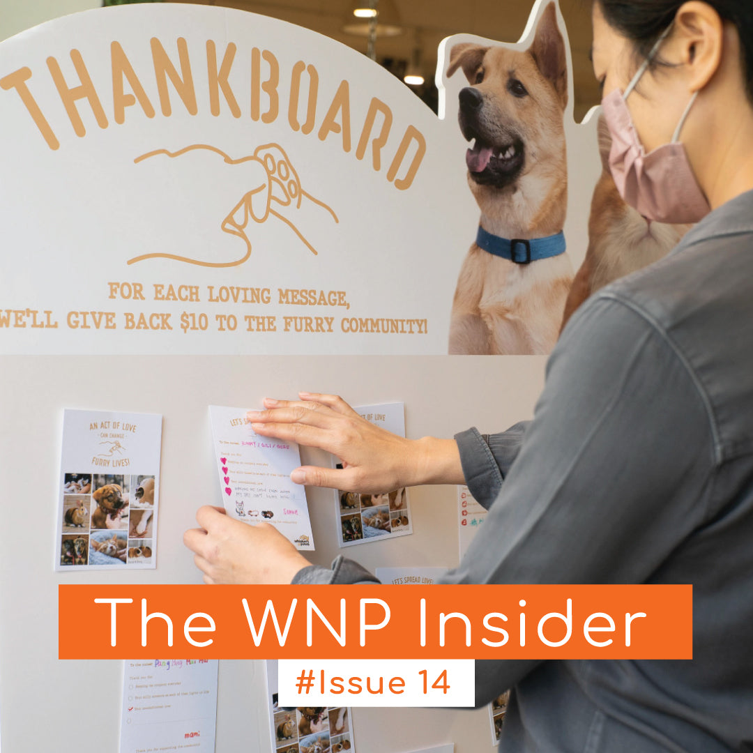 The WNP Insider - Issue #14
