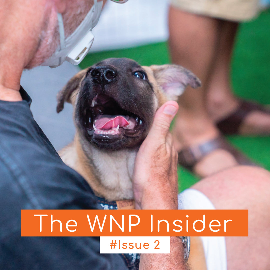The WNP Insider - Issue #2