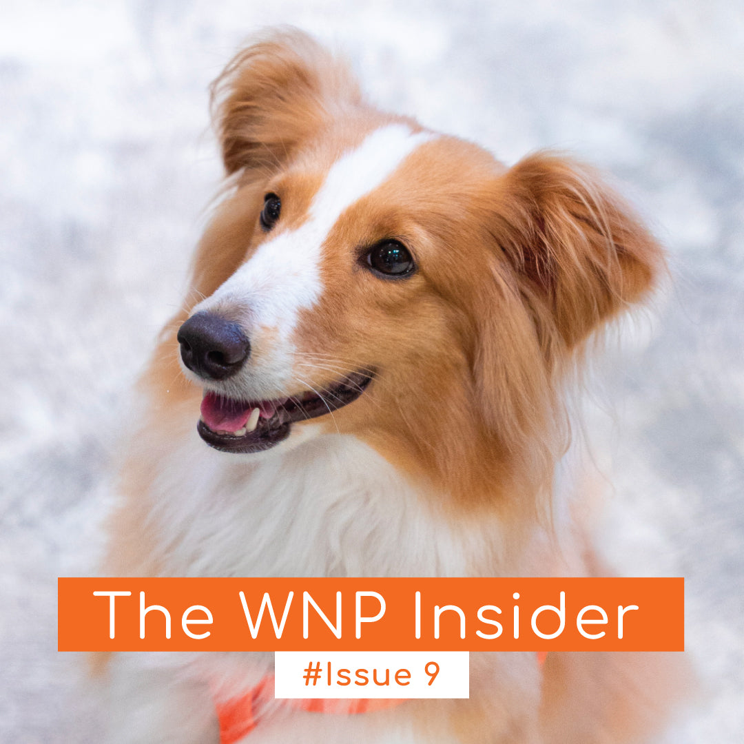The WNP Insider - Issue #9