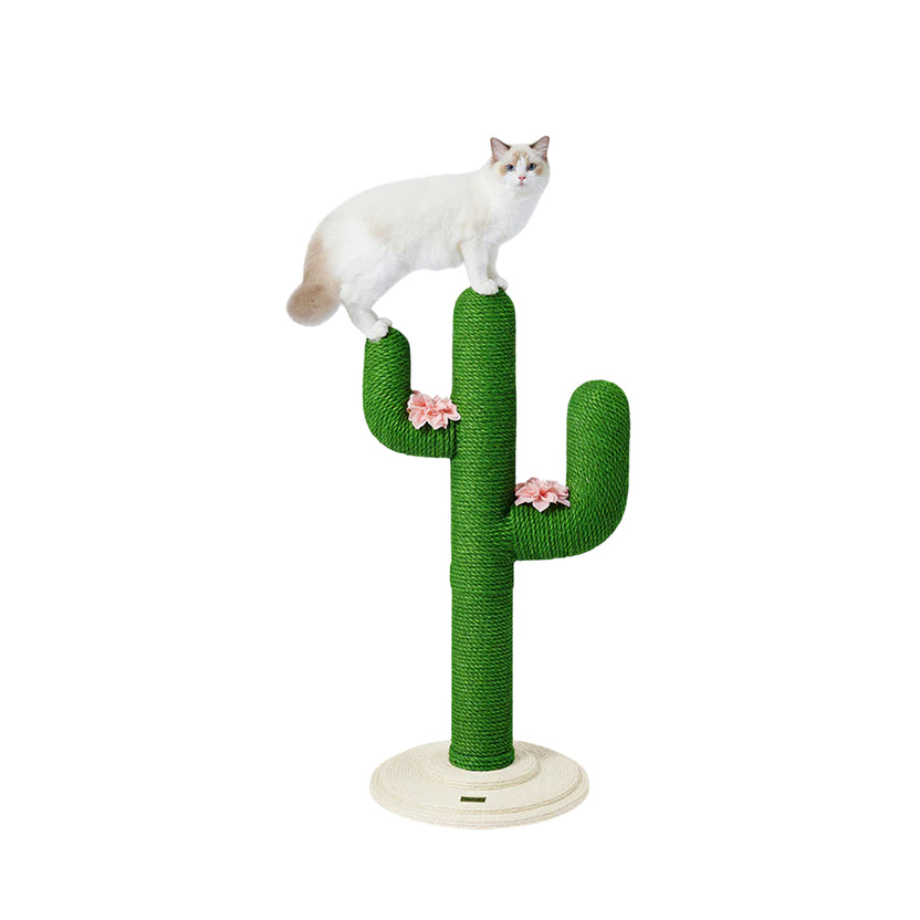 Oasis Cactus Cat Tree