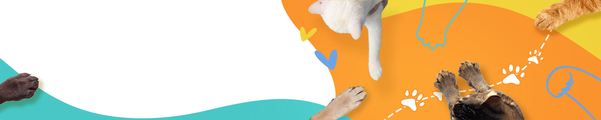 Whiskers Week 80% Off